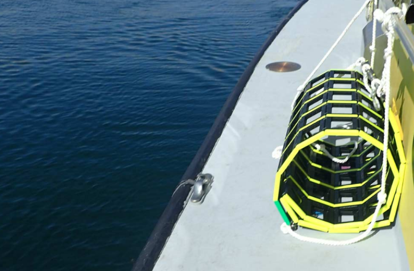 IC Brindle Jason's Cradle MOB System, FRC Kit, Recovery Stretcher ...