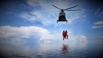 IC Brindle Liferaft Securing Strap